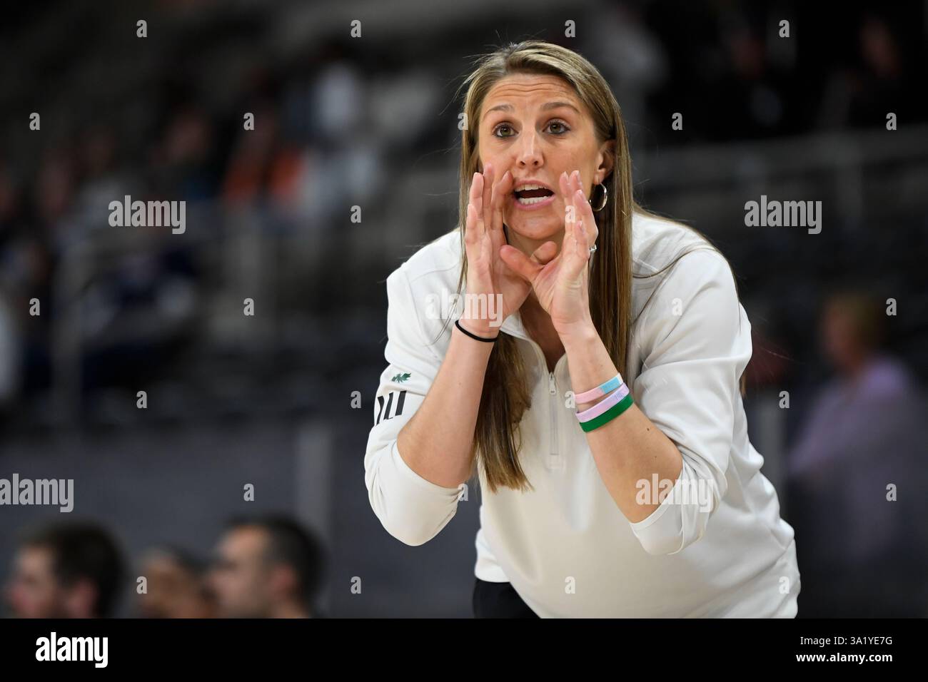 INDIANAPOLIS, IN - MARCH 10: Green Bay Phoenix Head Coach Kayla Karius ...