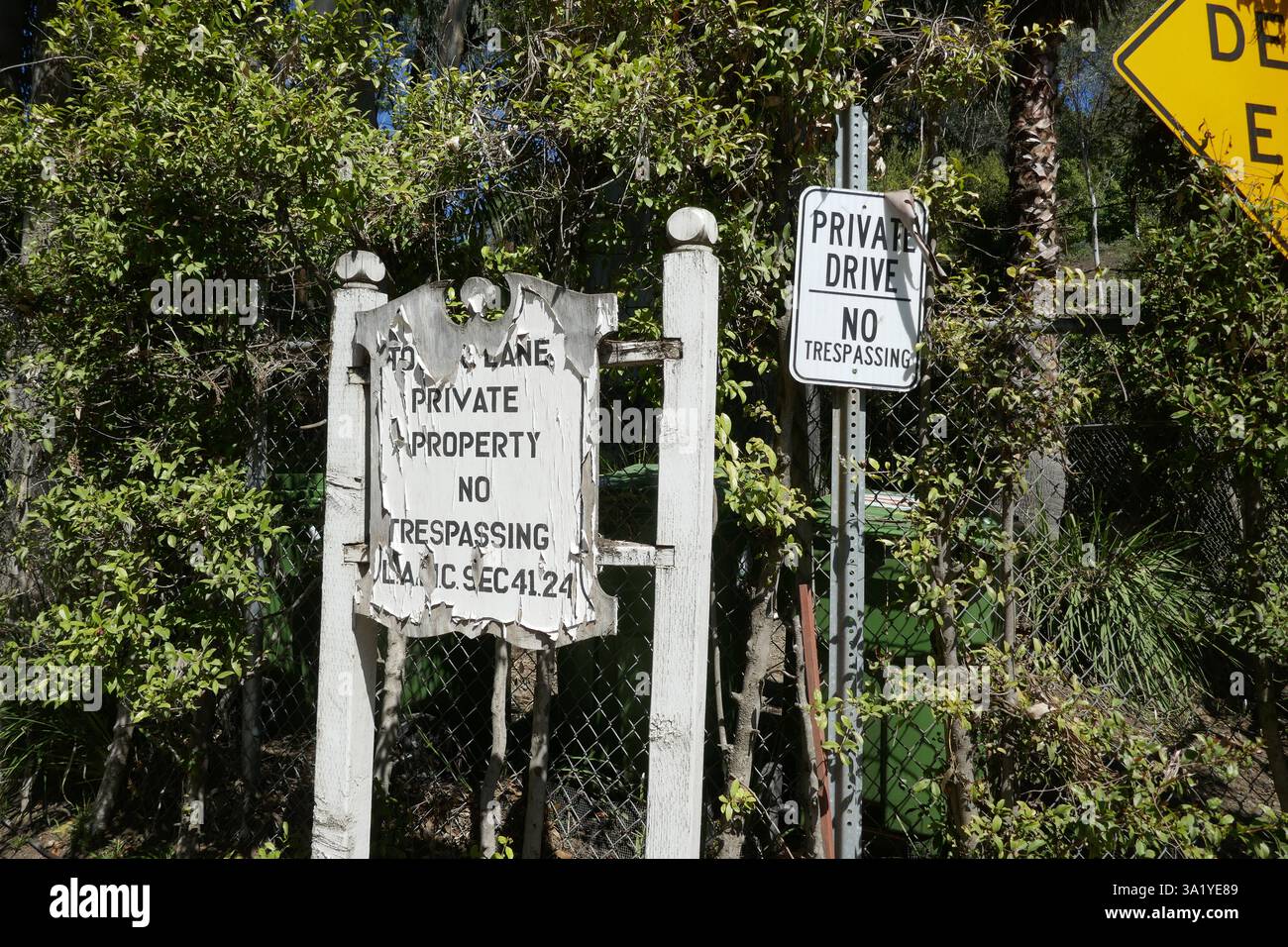 Beverly Hills, California, USA 9th March 2025 Singer Bruce Springsteen ...