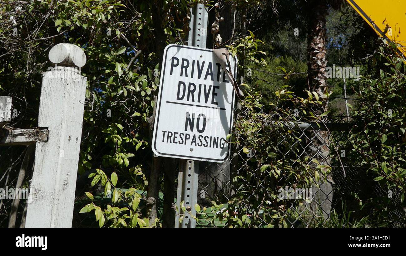 Beverly Hills, California, USA 9th March 2025 Singer Bruce Springsteen ...