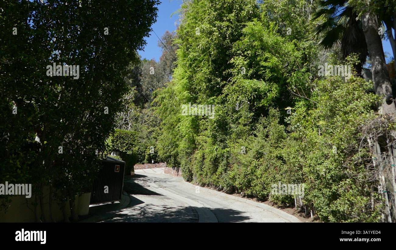 Beverly Hills, California, USA 9th March 2025 Singer Bruce Springsteen ...