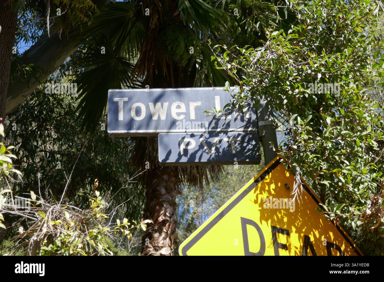 Beverly Hills, California, USA 9th March 2025 Singer Bruce Springsteen ...