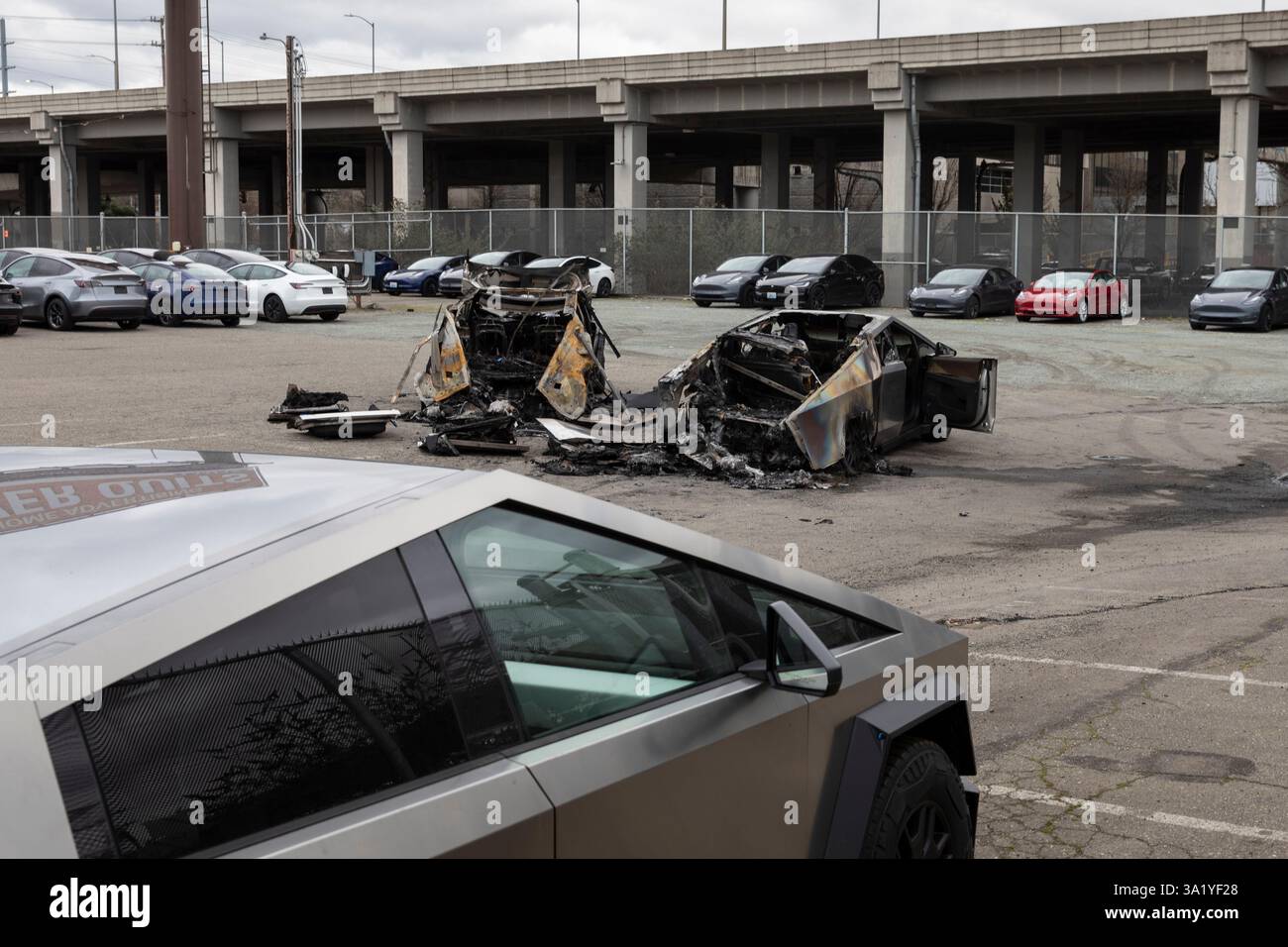 Seattle, Washington, USA. 10th March 2025. Two burned Tesla Cybertrucks ...