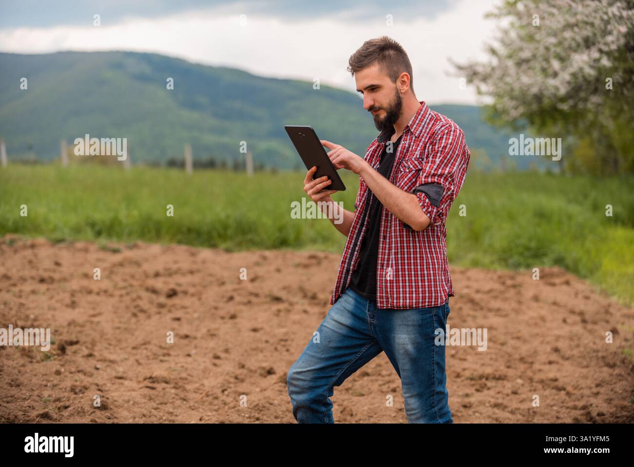Male farmer plantation checking quality by tablet agriculture modern ...