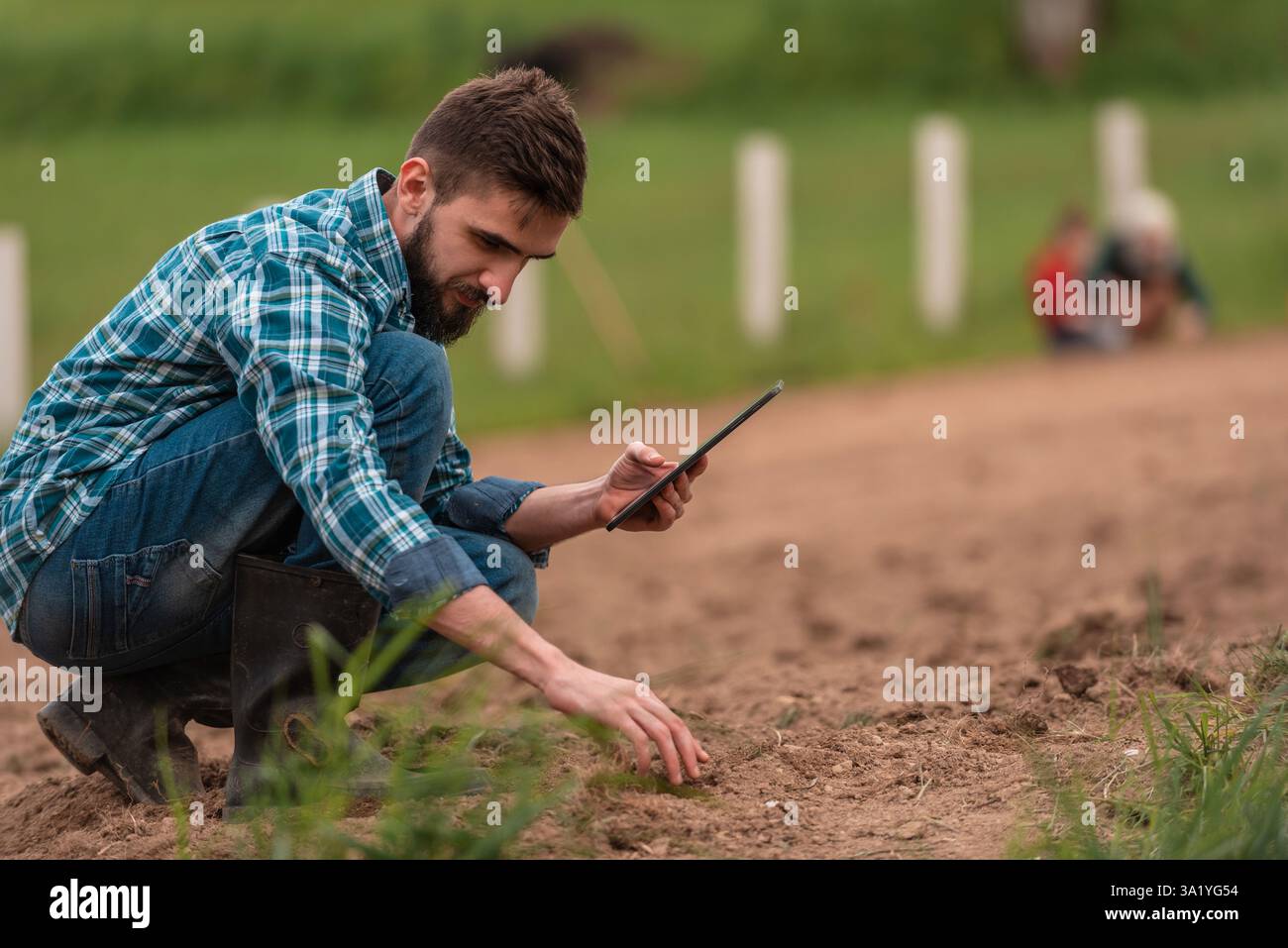 Male farmer plantation checking quality by tablet agriculture modern ...