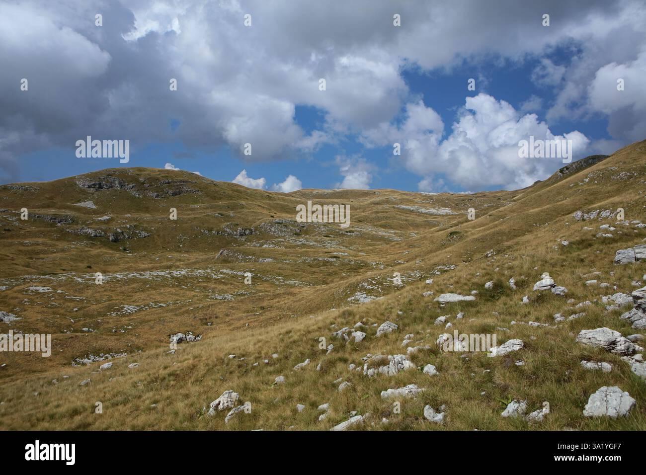 Landscape of valley in Durmitor Mountains in Montenegro Stock Photo - Alamy