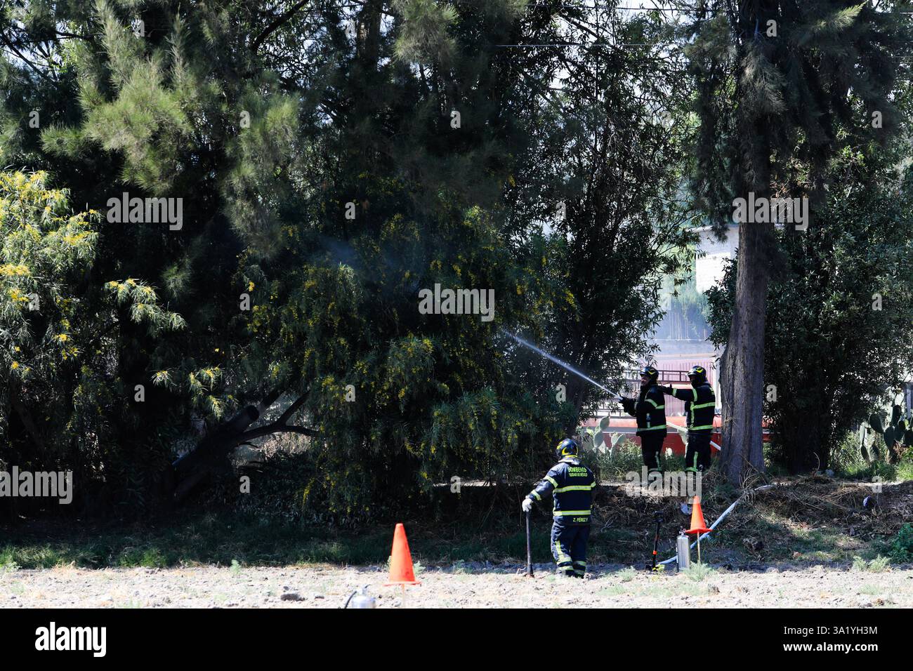 Mexico City, Mexico. 10th Mar, 2025. Members of the Mexico City Fire ...