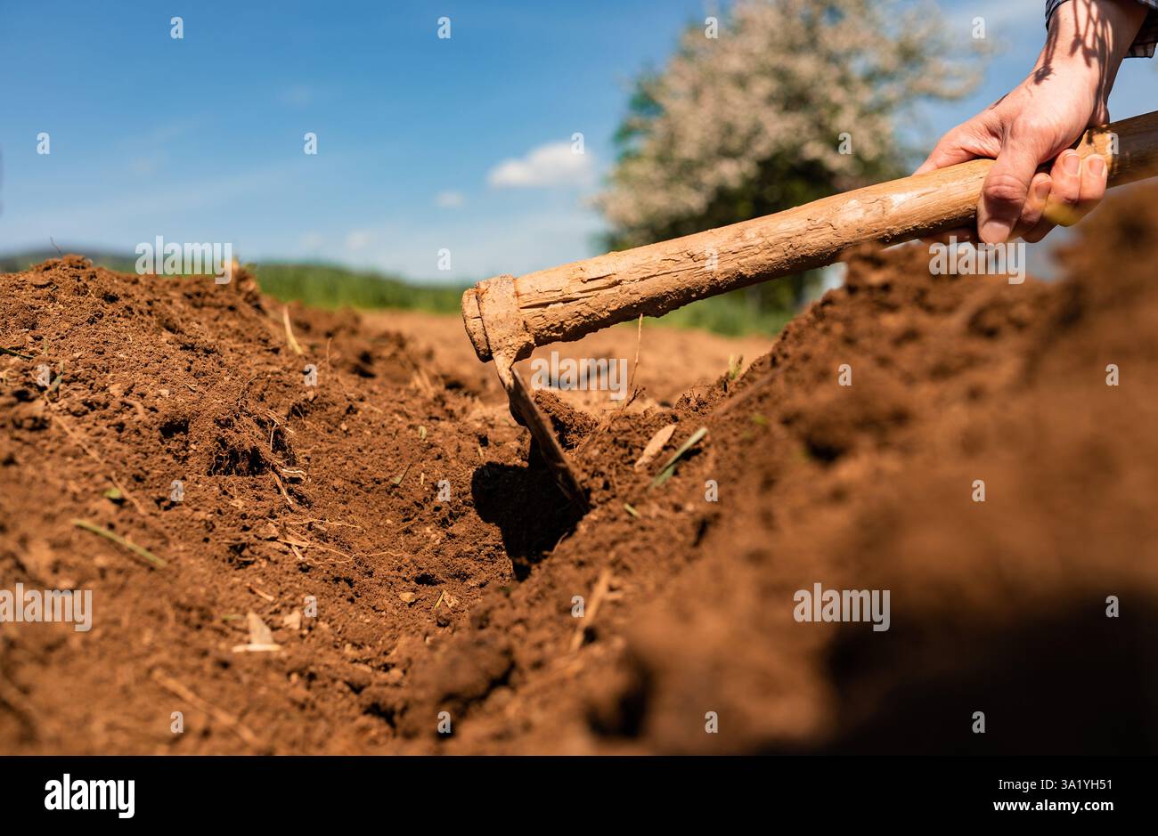 Male farmer using rake hi-res stock photography and images - Alamy