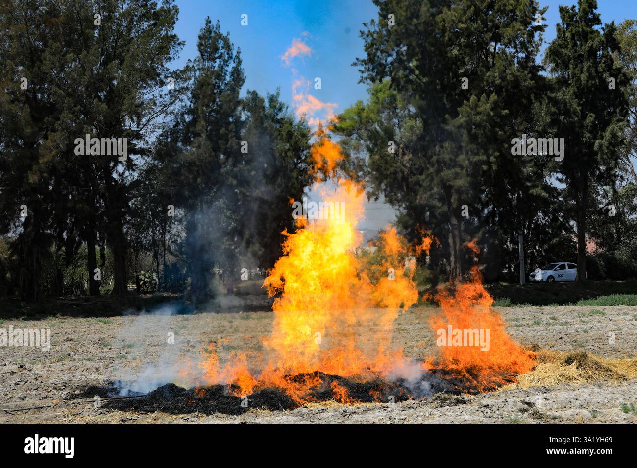 Mexico City, Mexico. 10th Mar, 2025. A member of the Mexico City Fire ...