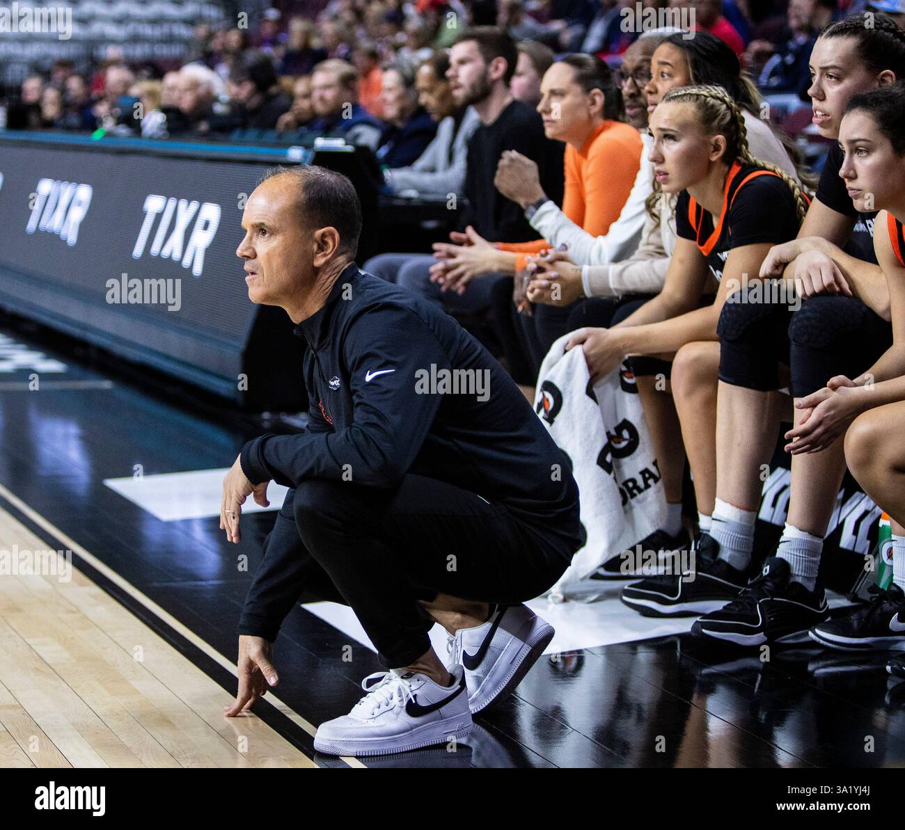 2025 0159 jpg hi-res stock photography and images - Alamy