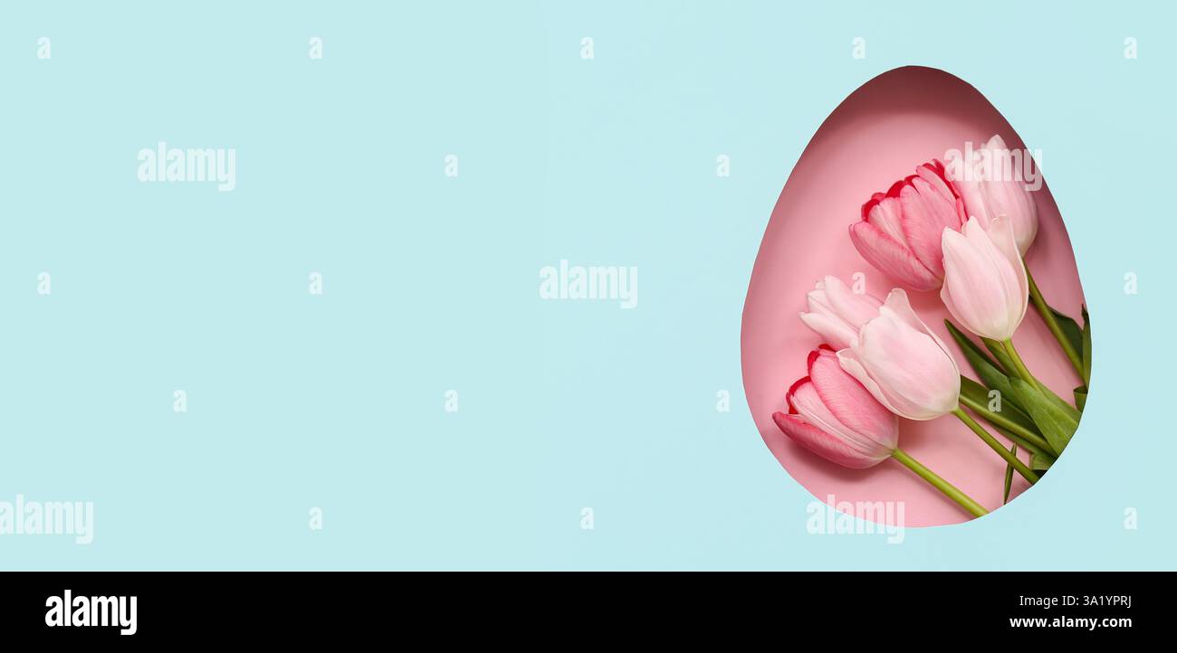 Beautiful tulip flowers visible through egg-shaped hole in color paper ...