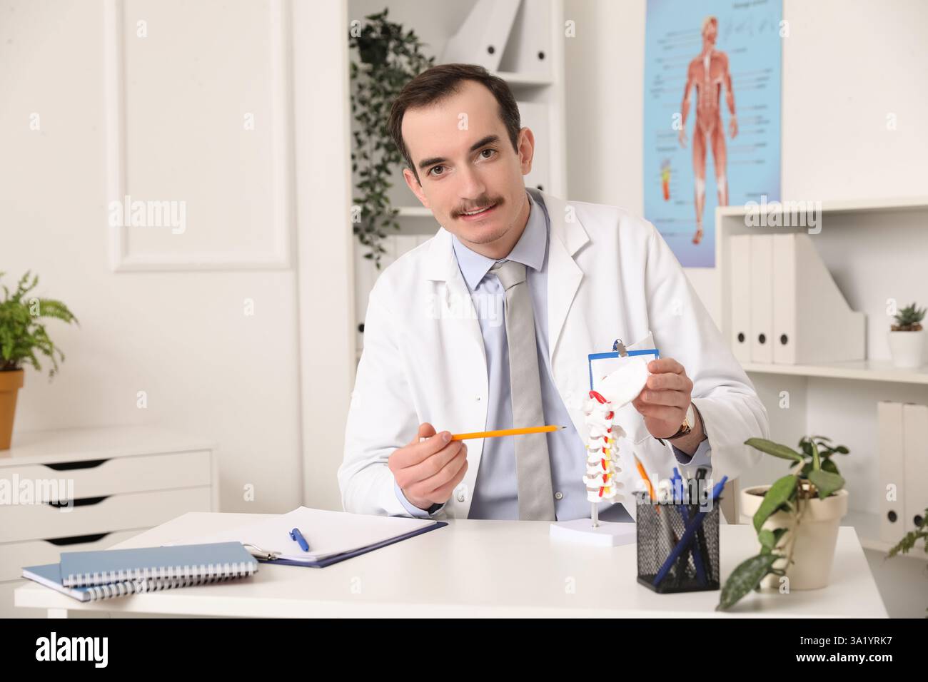 Male doctor demonstrating spinal anatomy with vertebral column model in ...