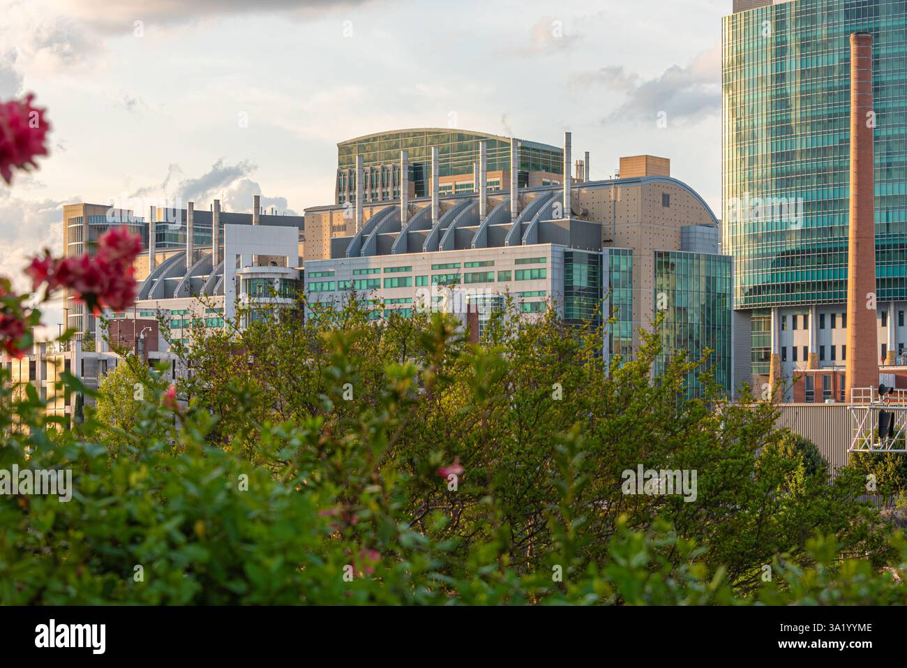 CDC (Centers for Disease Control and Prevention) headquarters campus in ...