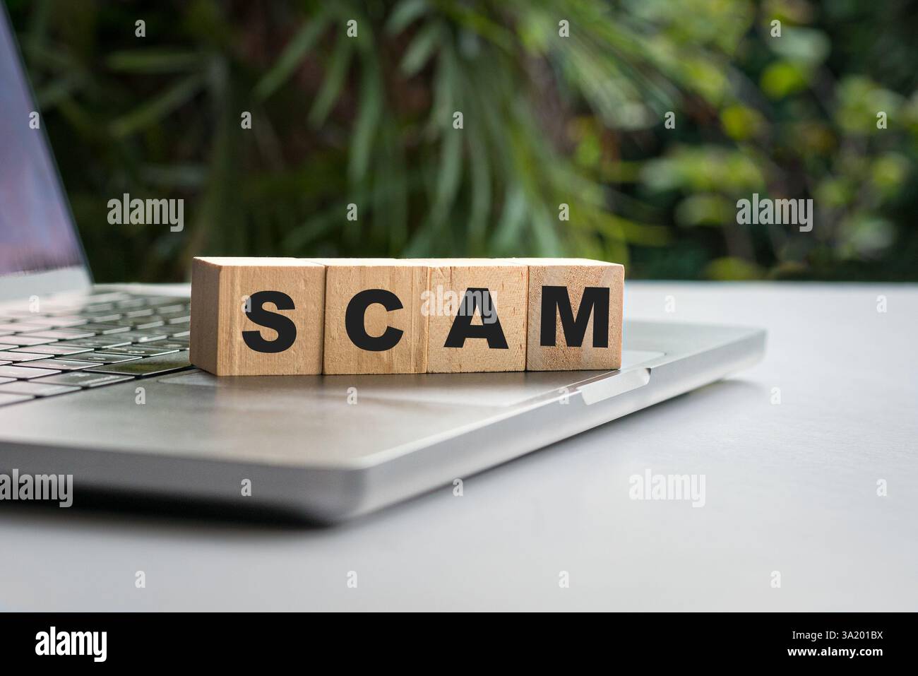 SCAM word on wooden blocks on top of computer laptop Stock Photo - Alamy