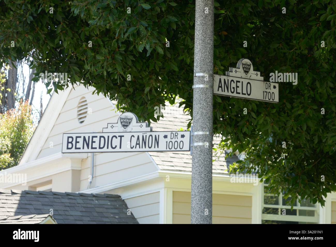 Beverly Hills, California, USA 9th March 2025 Benedict Canyon Drive snd ...