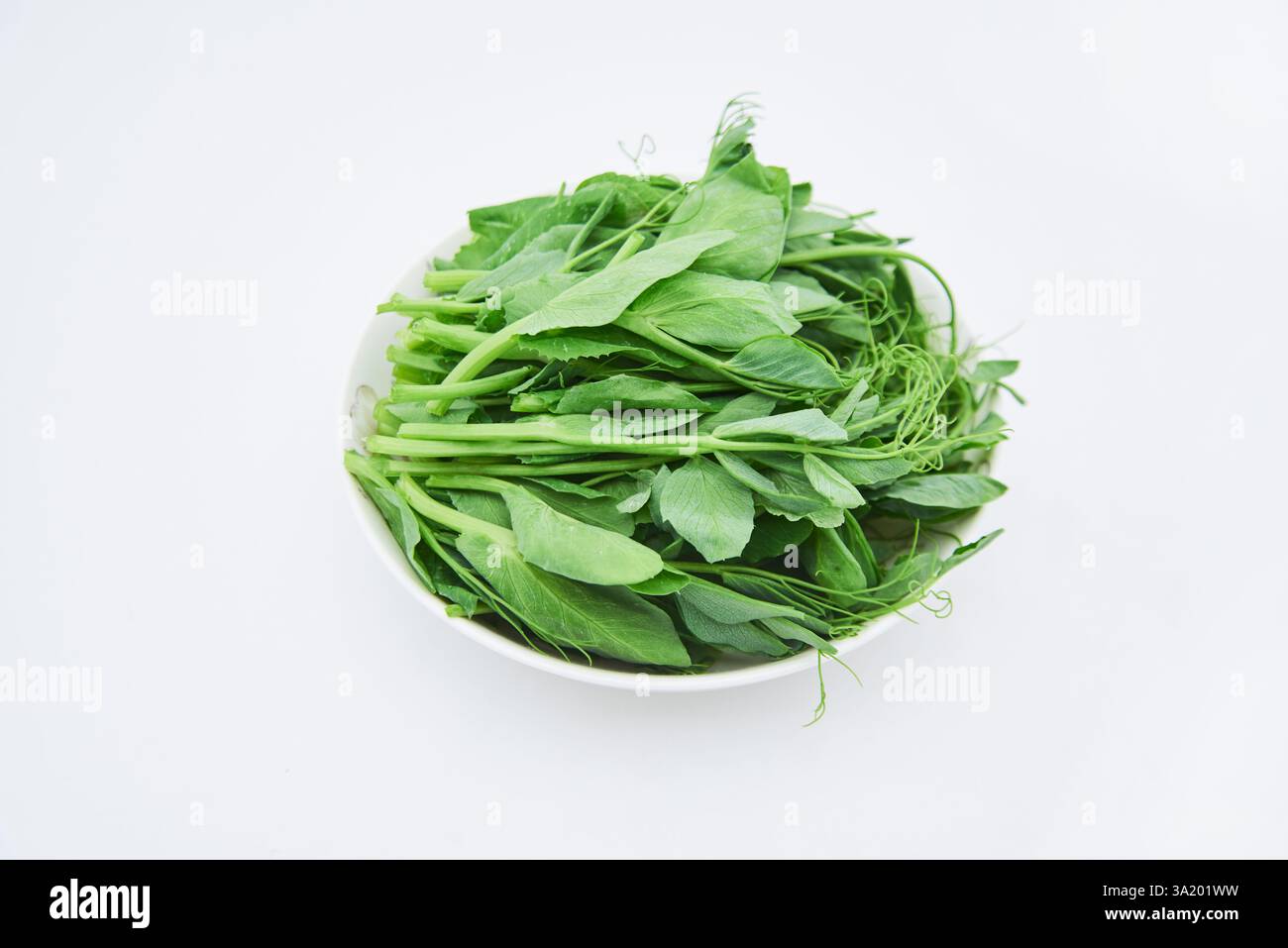 Dutch bean sprout vegetables on a white background Stock Photo - Alamy