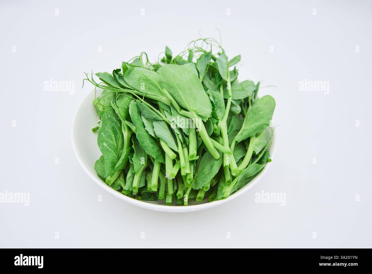 Dutch bean sprout vegetables on a white background Stock Photo - Alamy