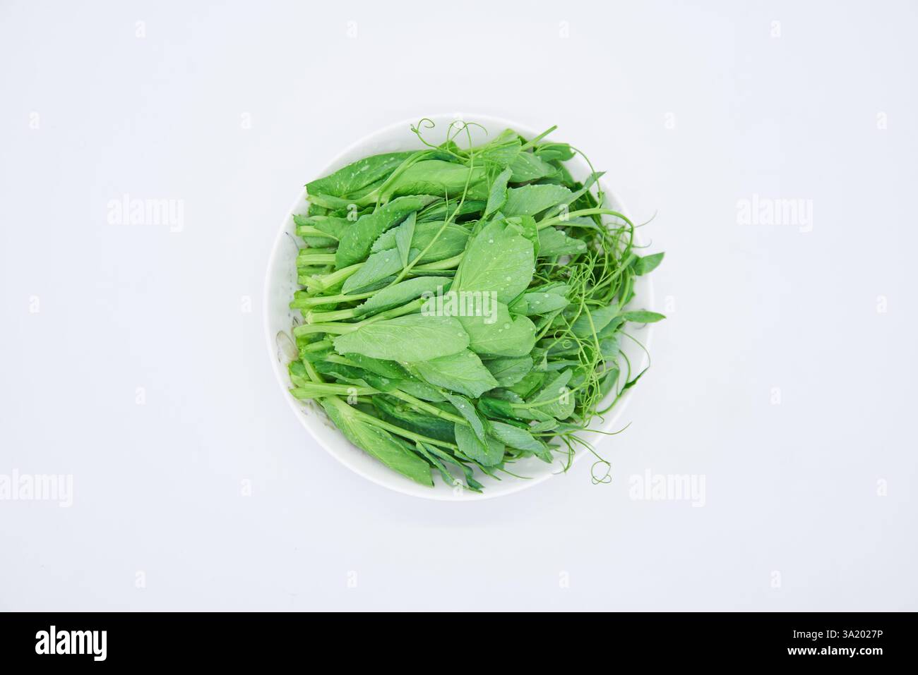 Dutch bean sprout vegetables on a white background Stock Photo - Alamy
