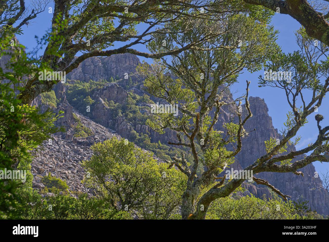 Dolerite peaks hi-res stock photography and images - Alamy
