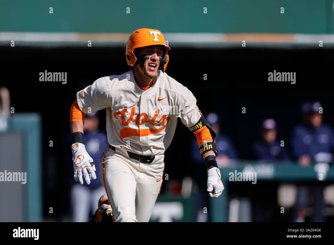 Tennessee Volunteers third baseman Manny Marin (4) hustles to first ...