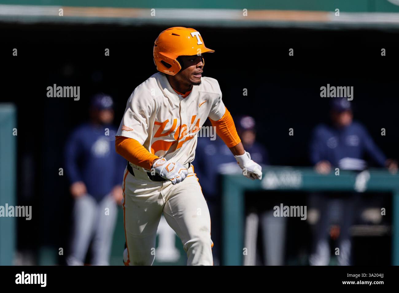 Tennessee Volunteers designated hitter Jay Abernathy (8) hustles to ...