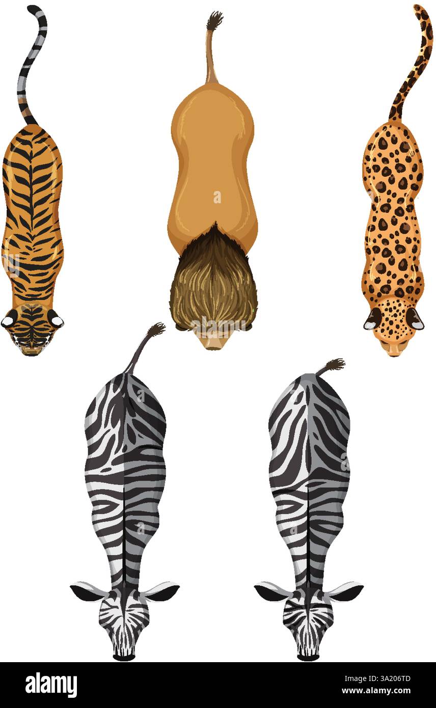 Illustration of five animals from a top perspective Stock Vector Image ...