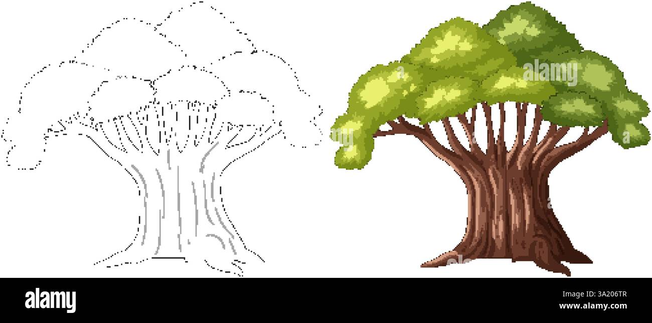 Vector illustration showcasing a tree in both outline and colored forms ...