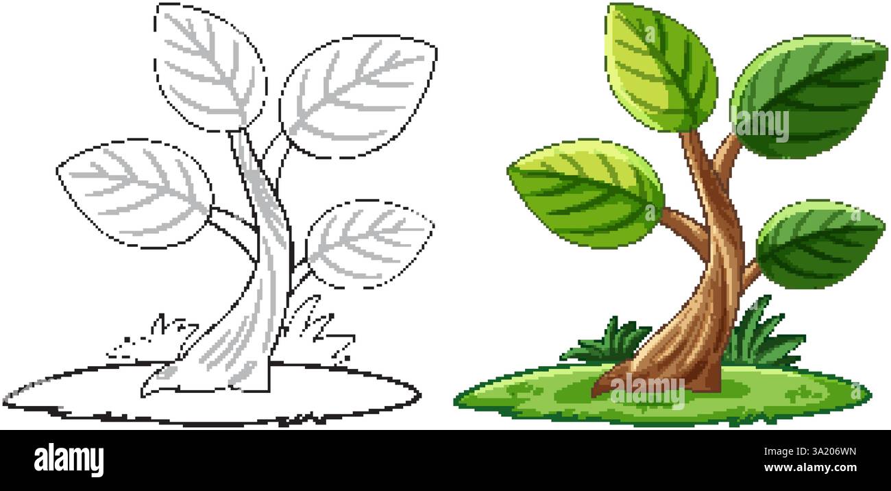 Colorful and outline vector illustration of a small growing tree Stock ...