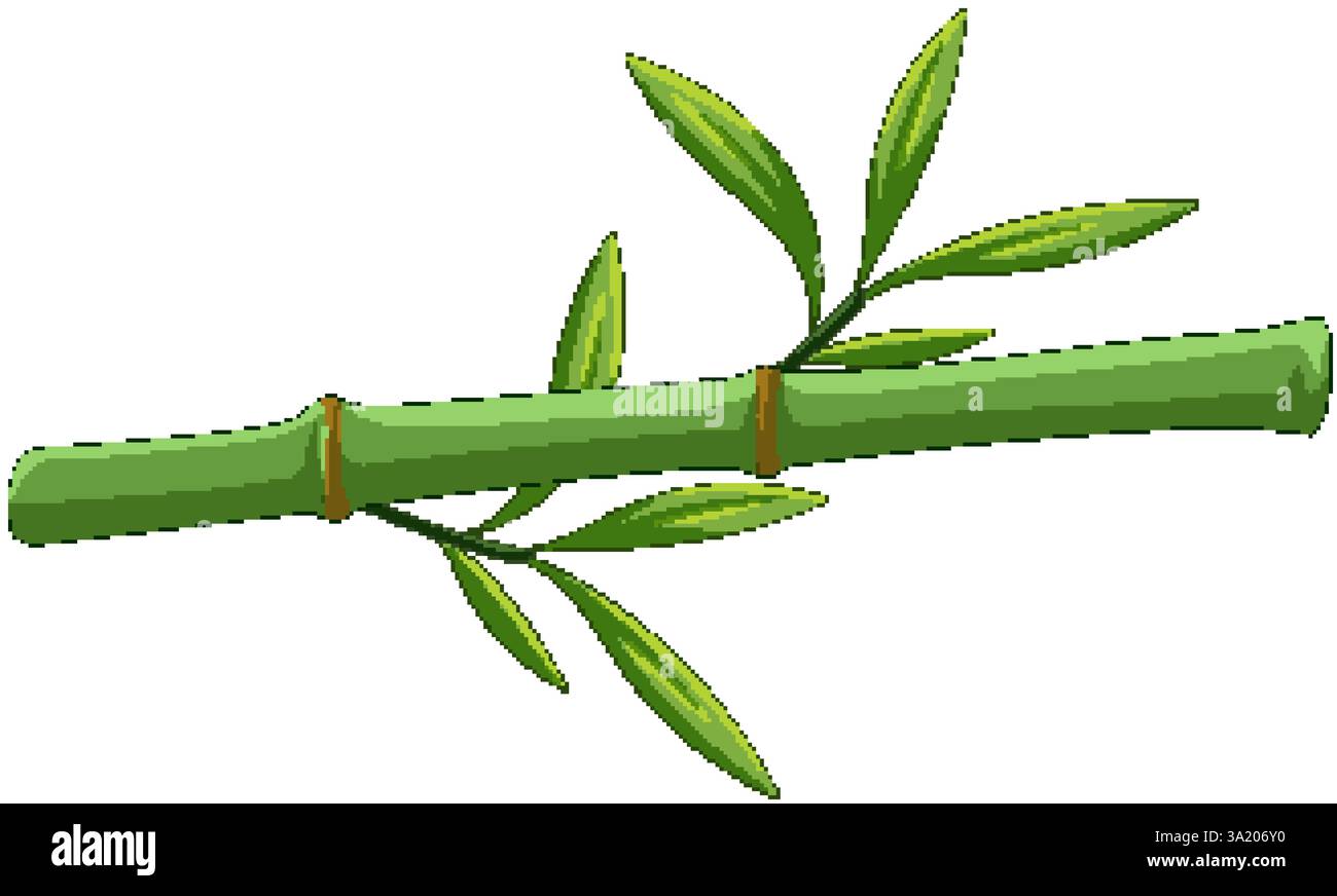 A detailed vector illustration of a bamboo stalk with leaves ...