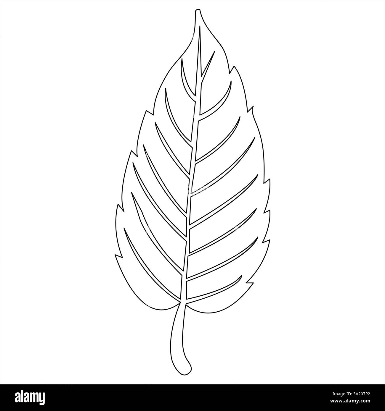 Continuous single line art drawing maple leaf hand drawn minimalist and ...