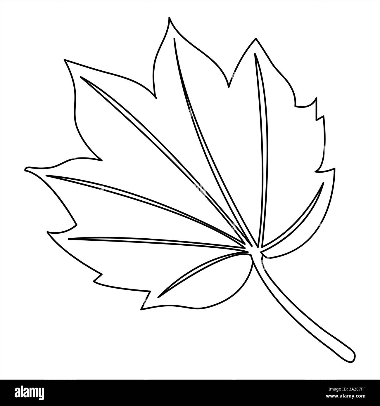 Continuous single line art drawing maple leaf hand drawn minimalist and ...