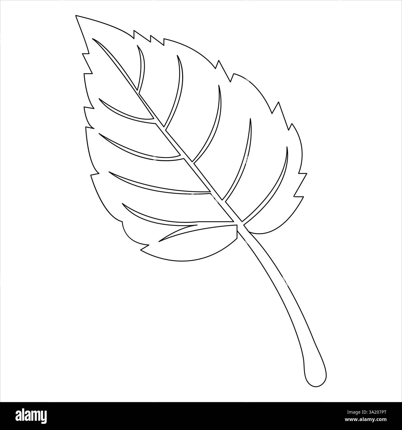 Continuous single line art drawing maple leaf hand drawn minimalist and outline vector ...