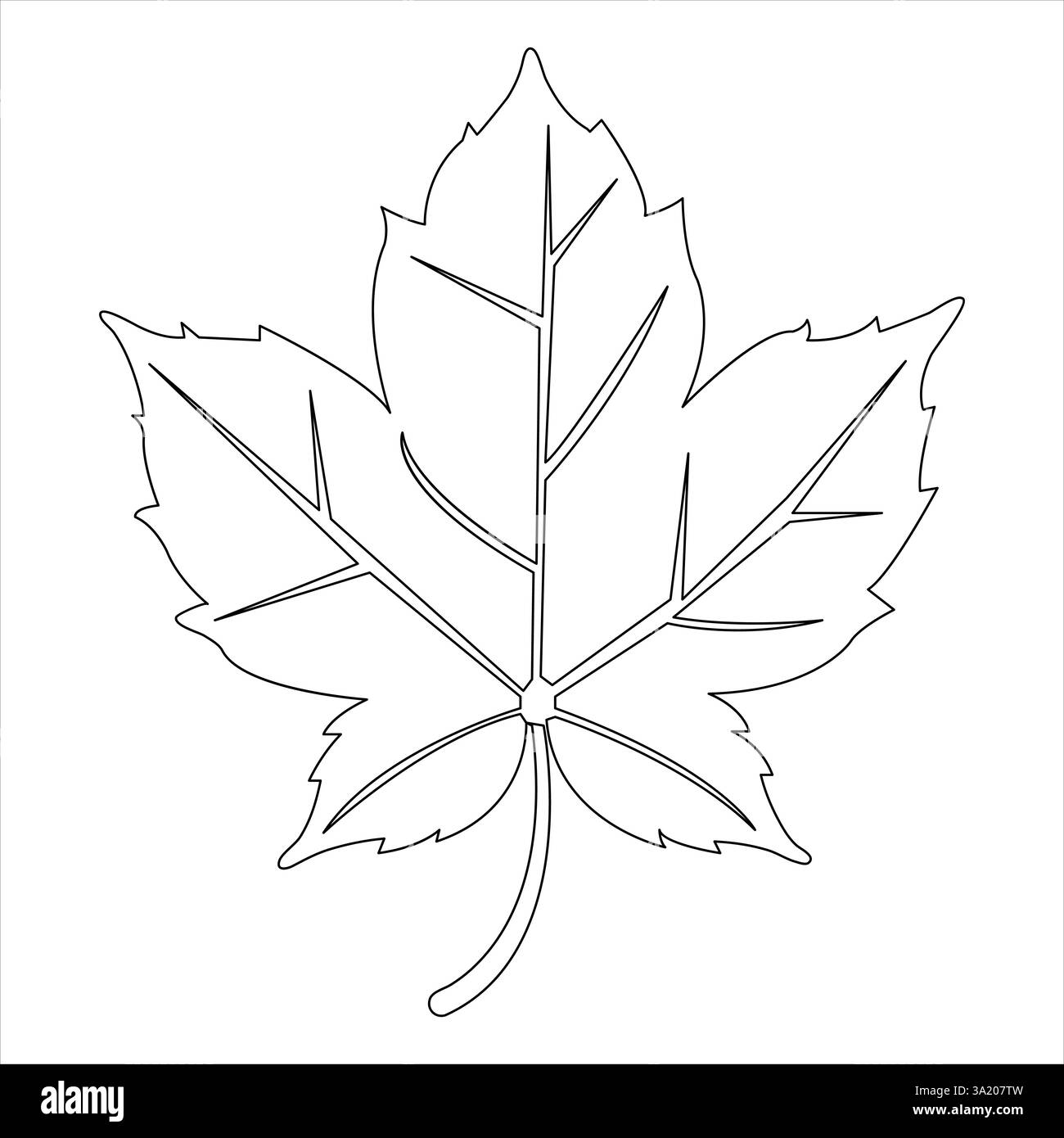 Continuous single line art drawing maple leaf hand drawn minimalist and ...