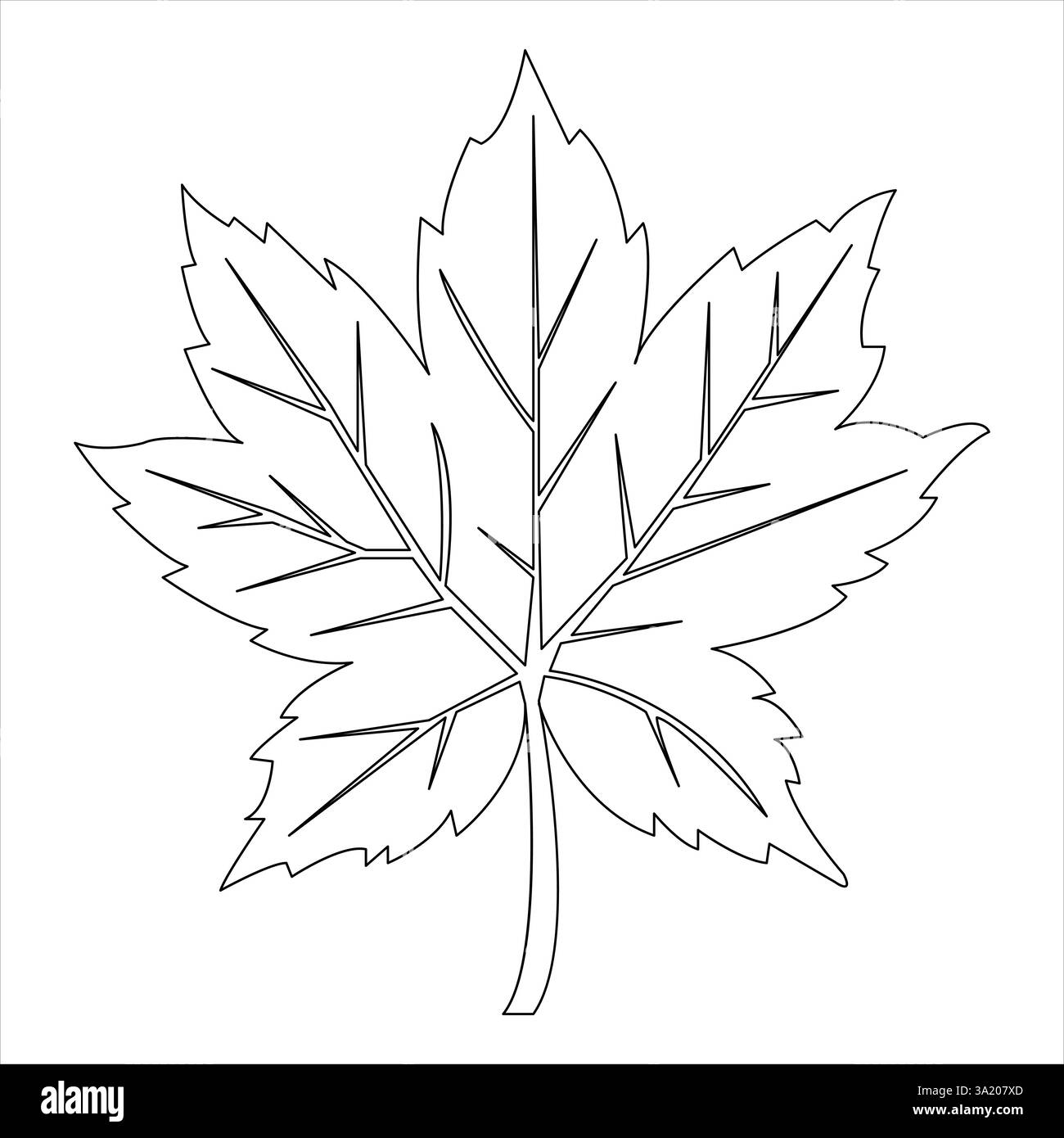 Continuous single line art drawing maple leaf hand drawn minimalist and ...