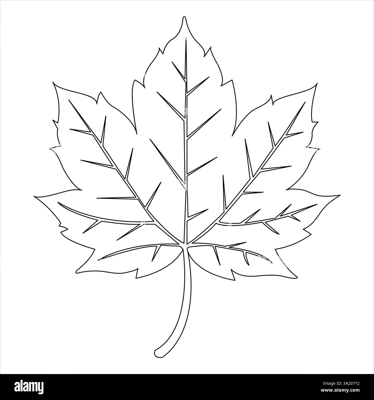 Continuous single line art drawing maple leaf hand drawn minimalist and ...
