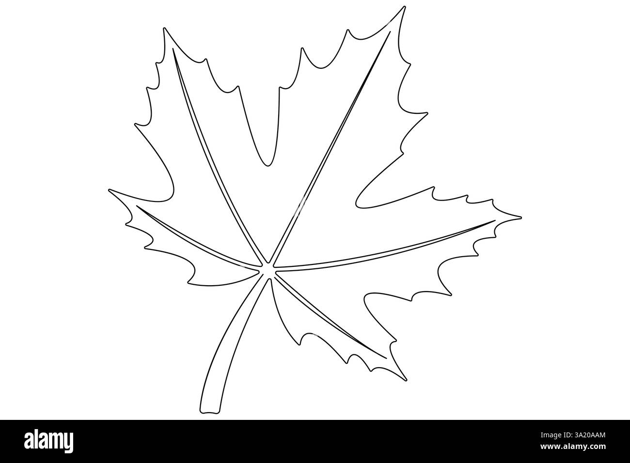 Continuous one line art drawing maple leaf botanical decorative symbol ...