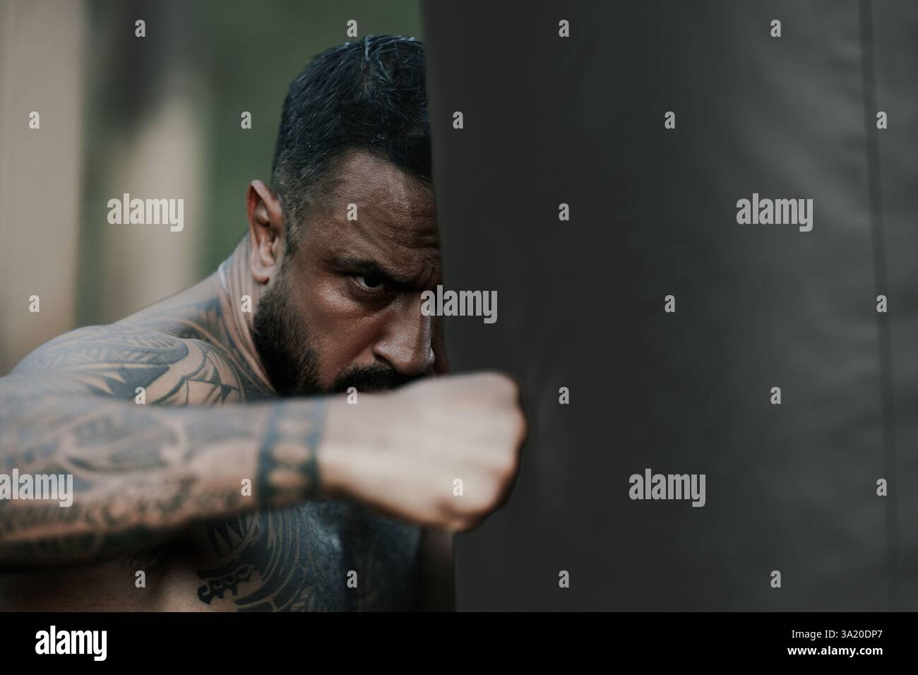 Portrait of strong boxer. Man boxer face close up. Fists fight. Mans ...
