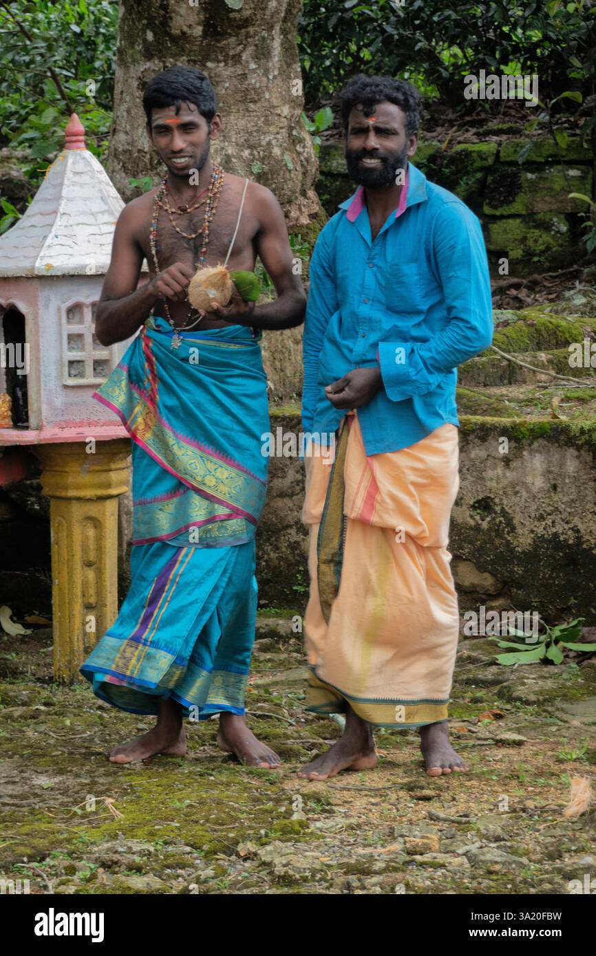 Tamil Thai Pongal harvest festival, Stellenberg Tea Estate, Pekoe Trail ...