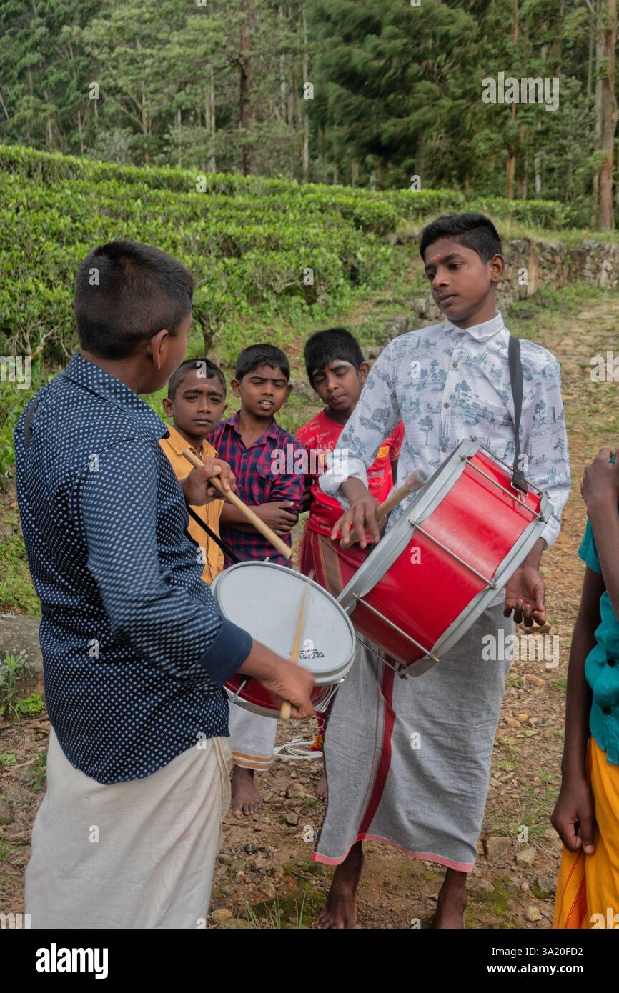 Tamil Thai Pongal harvest festival, Stellenberg Tea Estate, Pekoe Trail ...