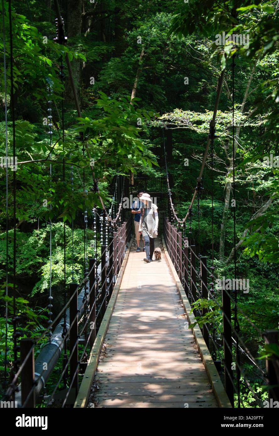 A couple and their pet dog walk over one of the foot bridges that ...
