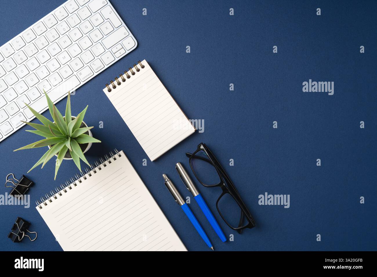 Workspace with keyboard, office supplies, pen, green leaf. Flat lay, top view blue office desk ...