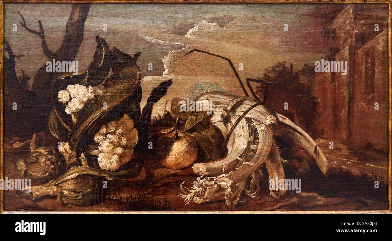 Coliflor de color hi-res stock photography and images - Alamy