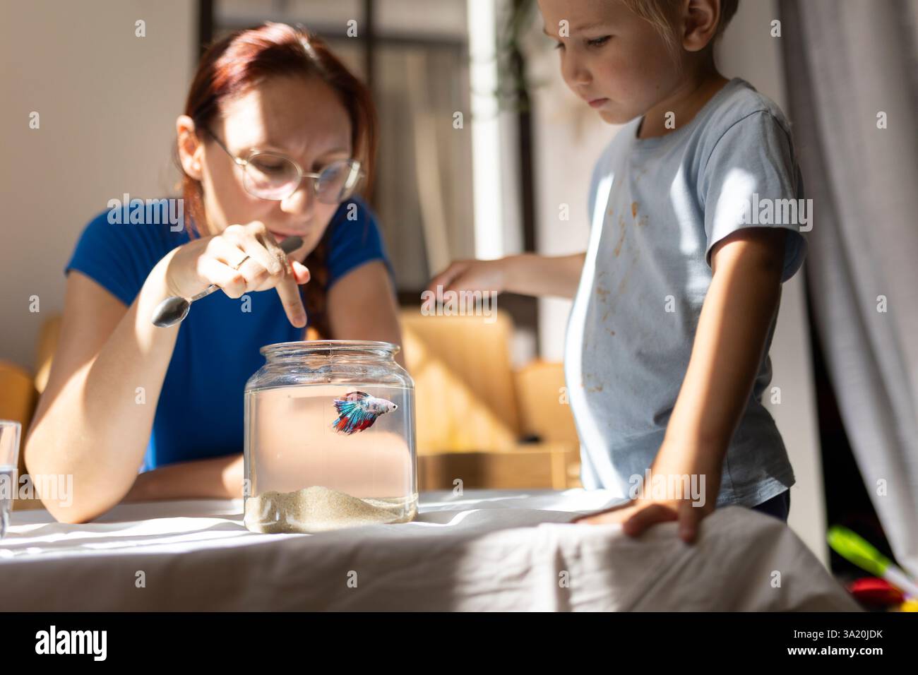 Mother and son feeding a betta fish in a jar aquarium Stock Photo - Alamy