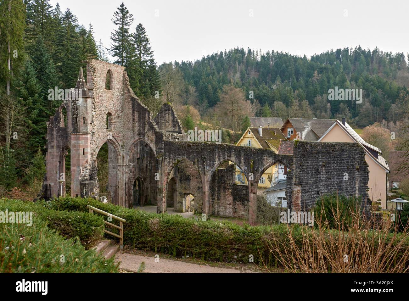 Enchanting Ruins of Medieval Monastery Nestled in Black Forest Germany ...