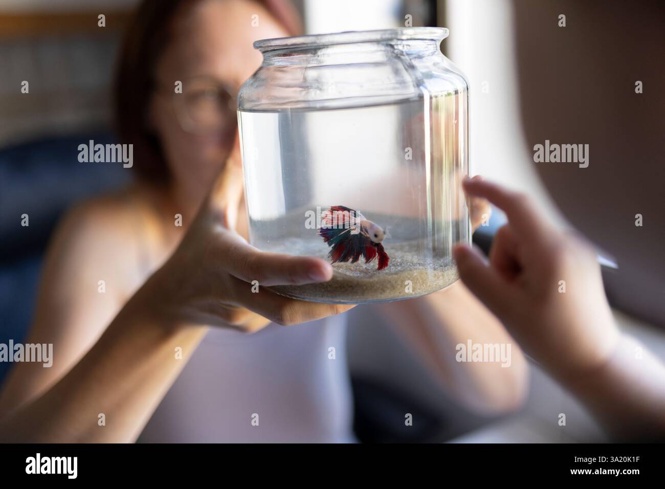 Woman holding a jar with a betta fish and a child observing it Stock ...