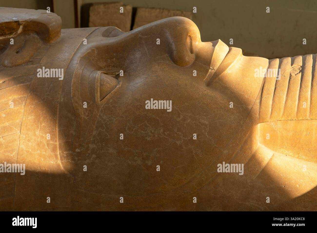 Memphis, Egypt; January 20, 2024: Experience the grandeur of Ramses II ...