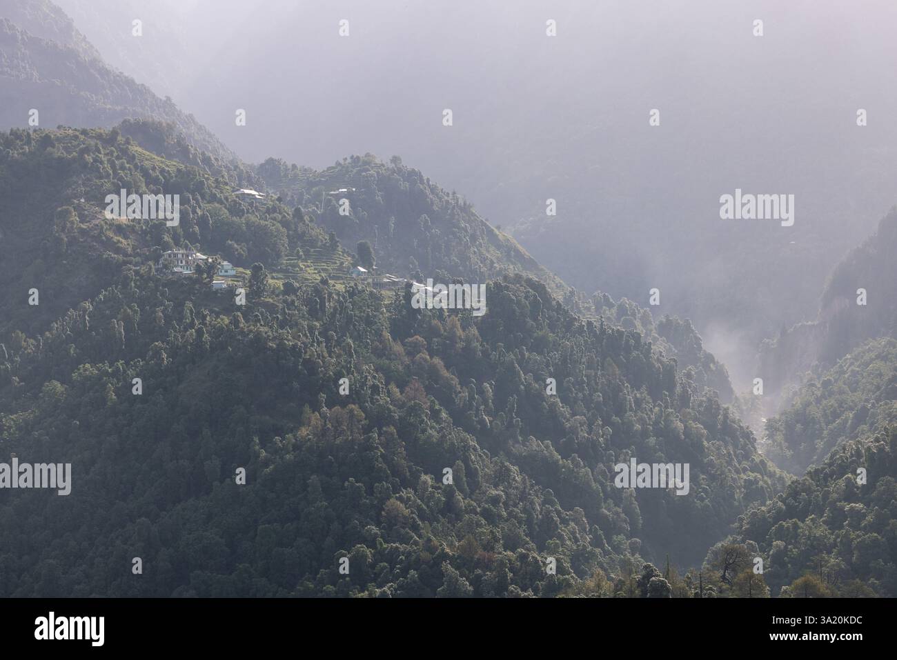 High angle view of green forest mountain after rain There was a dense ...