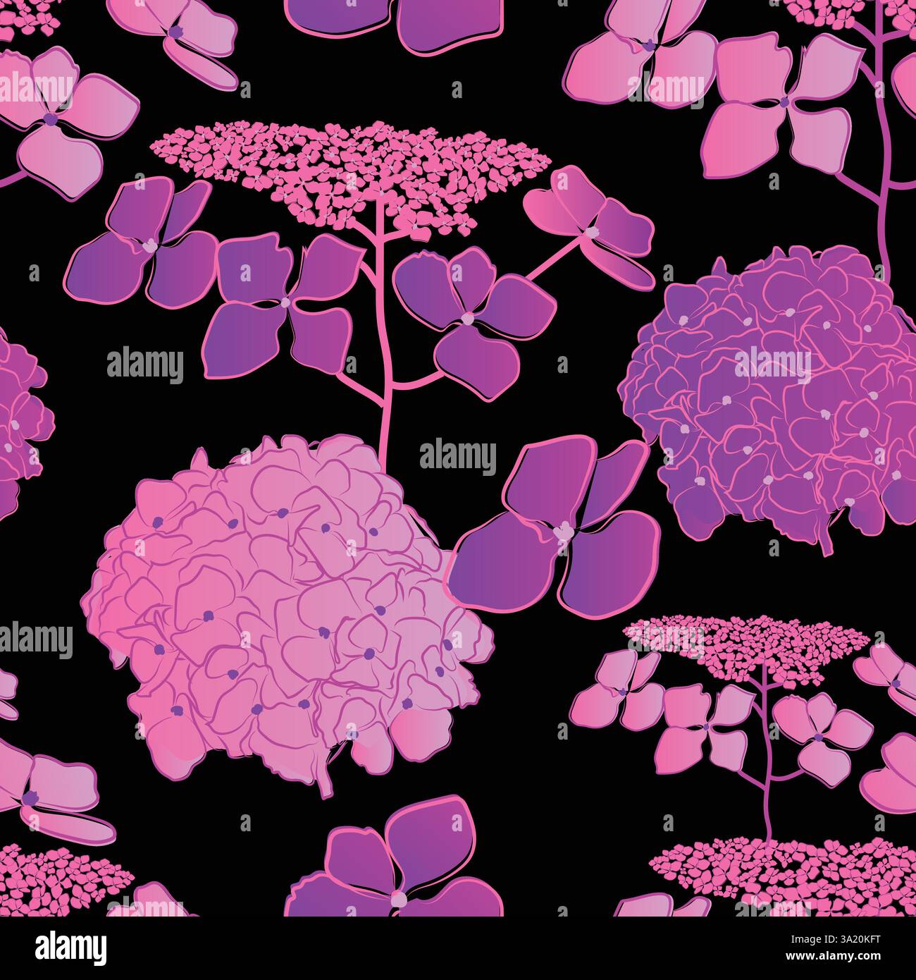 Chinese hydrangea Stock Vector Images - Alamy