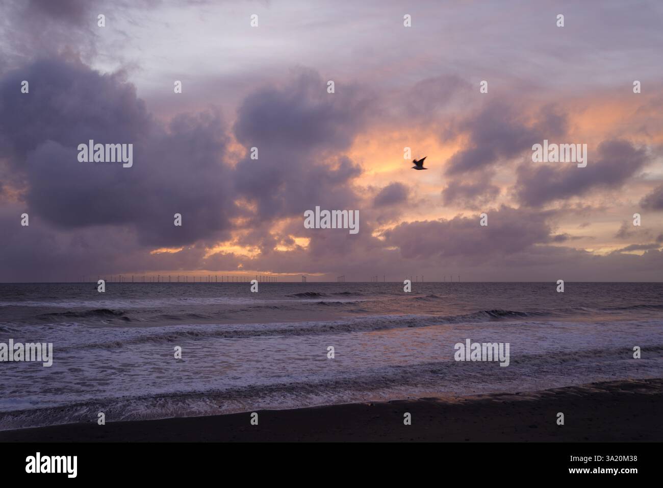 Sunrise over Easington beach, Hull, after a crash between an oil tanker ...
