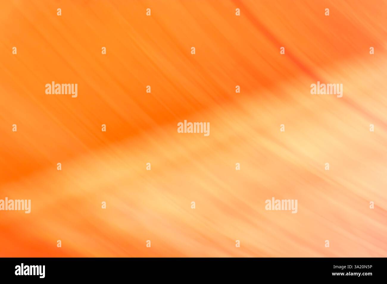 Abstract horizontal orange background with smooth lines, highlights ...