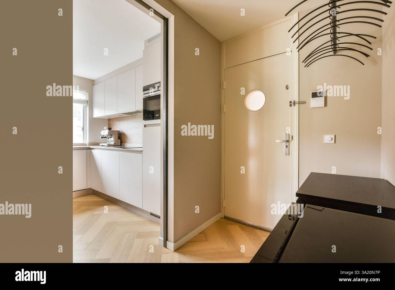 A stylish kitchen flows into an entrance hall, featuring contemporary ...